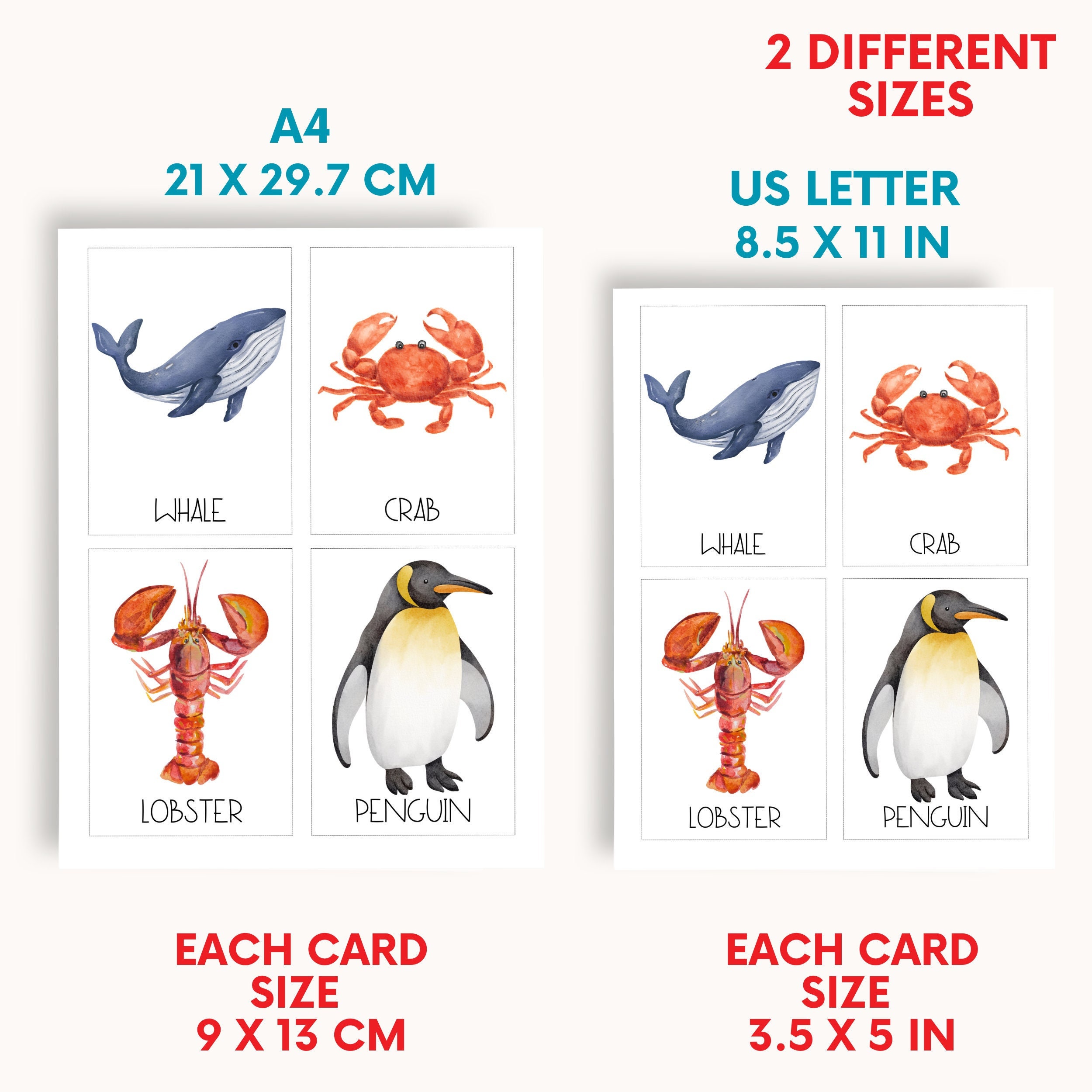 20 Ocean Animals Flash Cards for Kids, Homeschool Learning, Handwriting ...