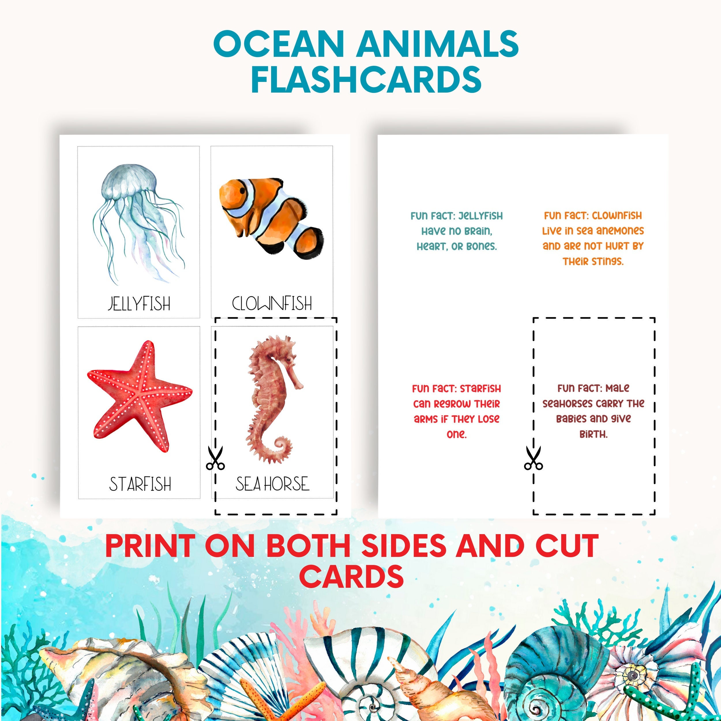 20 Ocean Animals Flash Cards for Kids, Homeschool Learning, Handwriting ...