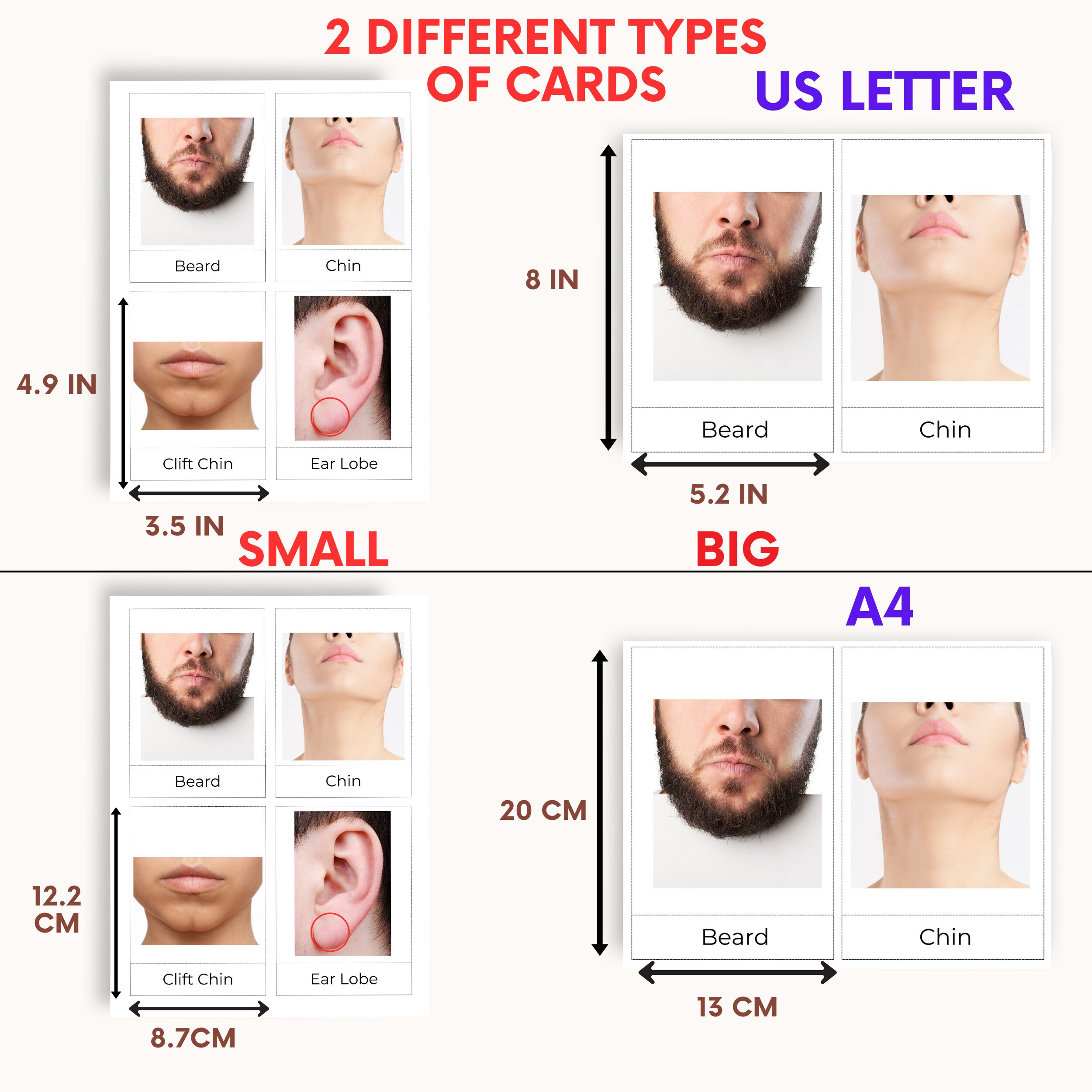 Skin and Hair Features Flashcards Face Skin and Hair Parts Montessori ...