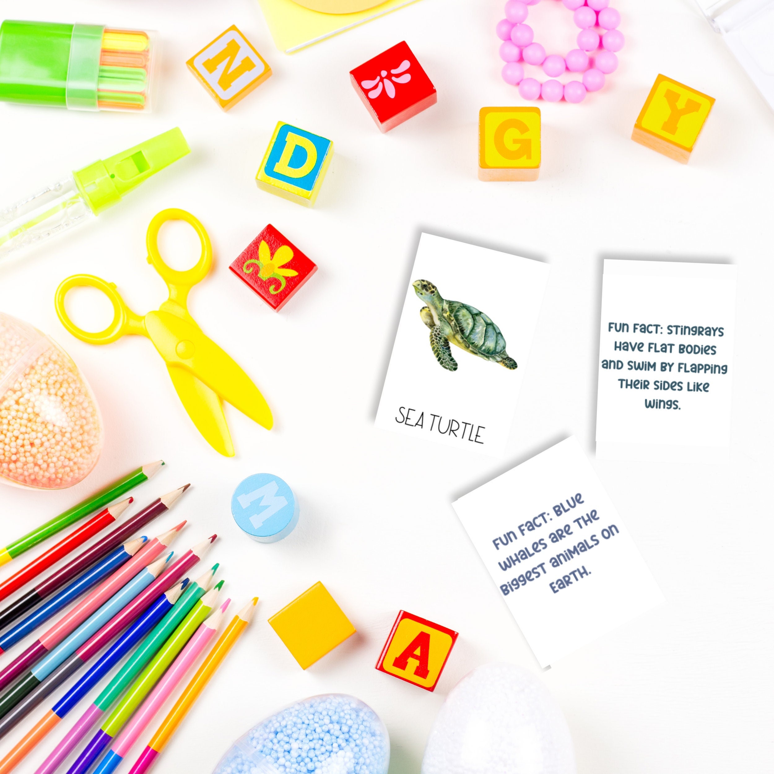 20 Ocean Animals Flash Cards for Kids, Homeschool Learning, Handwriting ...