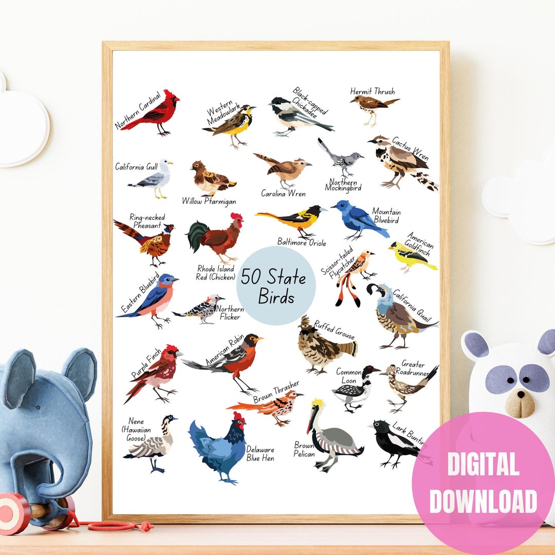US State Birds Poster Educational Posters for Kids North American Birds ...