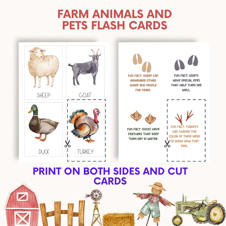 20 Farm Animals and Pets Flash Cards for Kids,pre-school Cards Learning ...