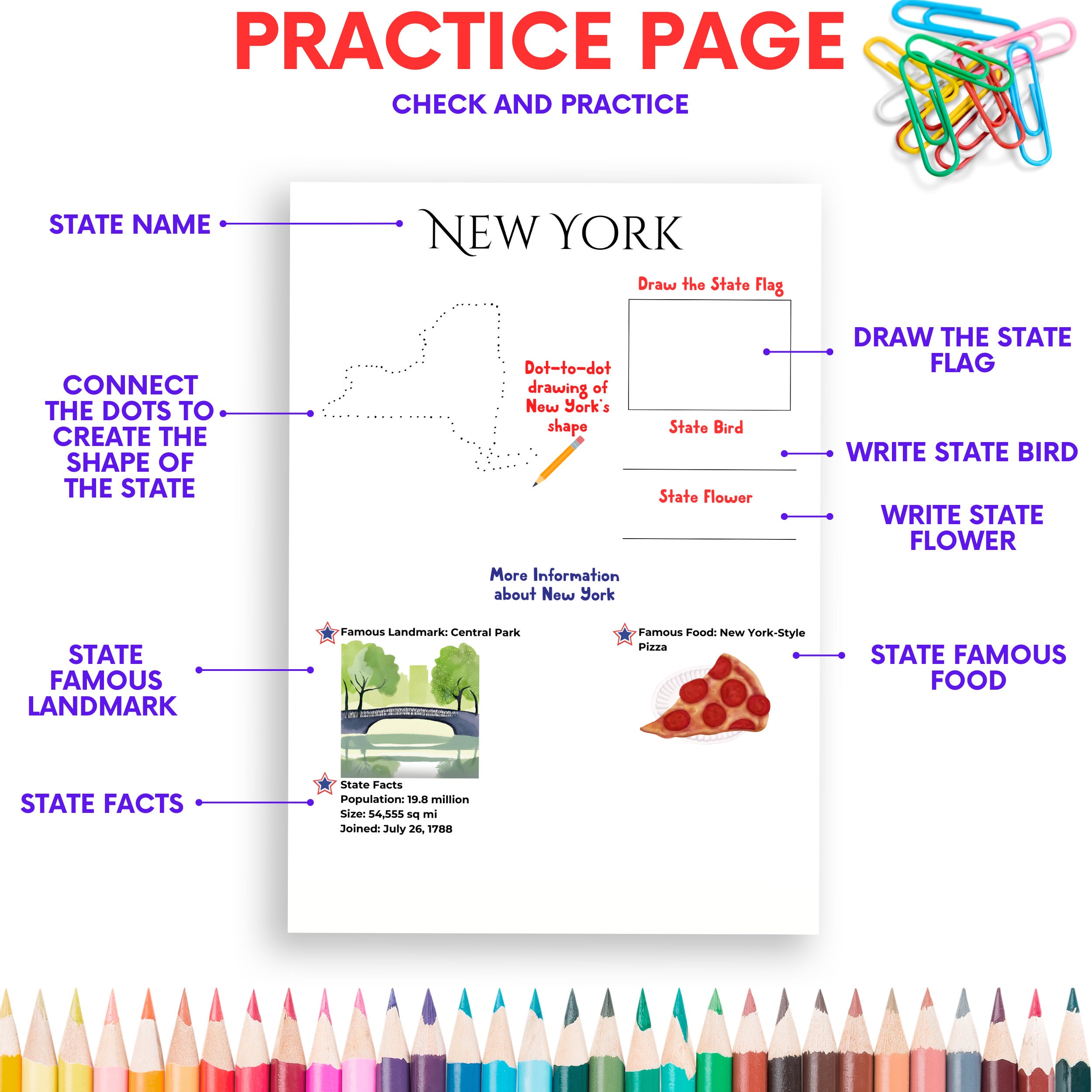 50 States Unit Study Fifty States Learning Guide State Capitals State ...