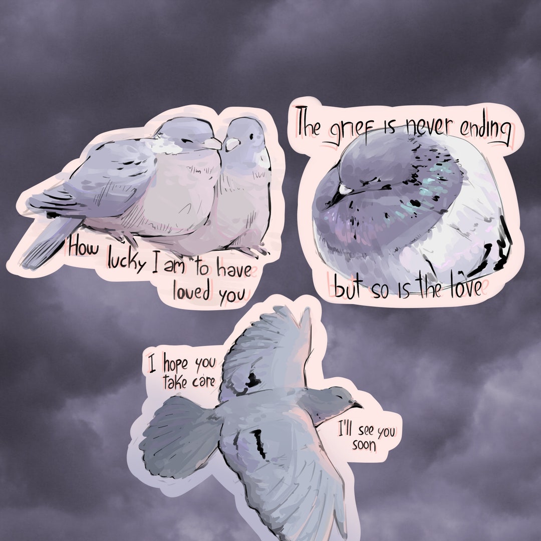 Pigeon Stickers /pegatinas Palomas - Message of Love - Etsy
