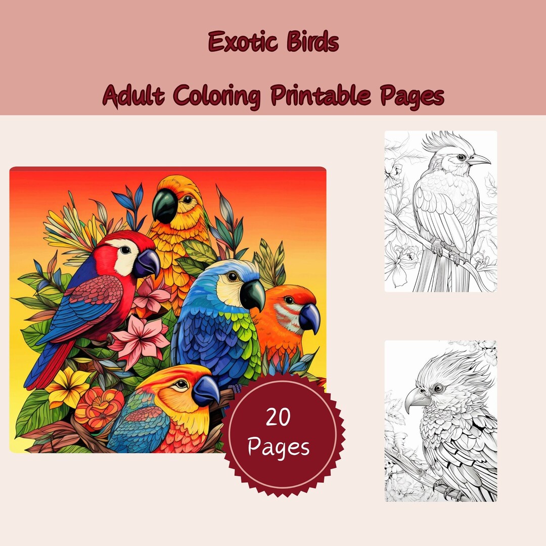 Exotic Birds 20 Coloring Pages, Birds From Around the World, Printable ...