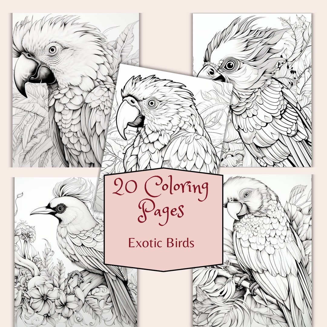 20 Coloring Pages, Exotic Birds Coloring Pages, Grayscale Coloring Book ...