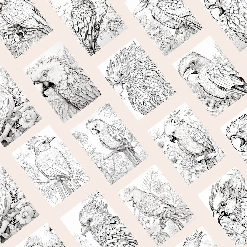 Exotic Birds 20 Coloring Pages, Birds From Around the World, Printable ...