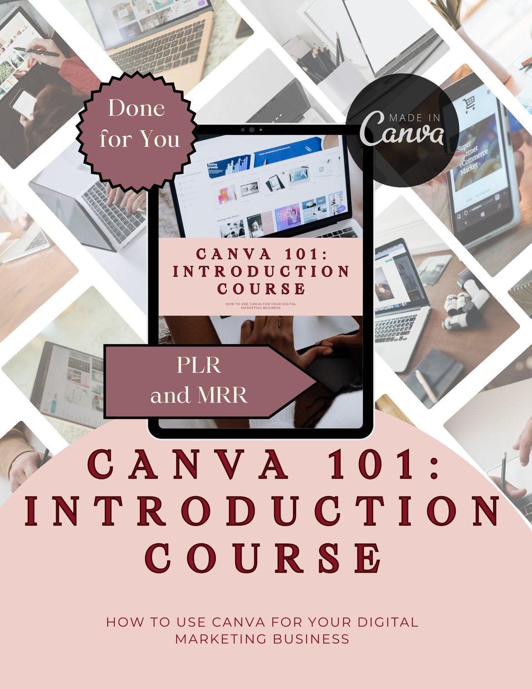 Canva 101: Introduction to Canva, How to Guide With Master Resell ...