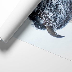 American Buffalo in Snow Original Canvas Art, Bison Canvas Print Wall ...