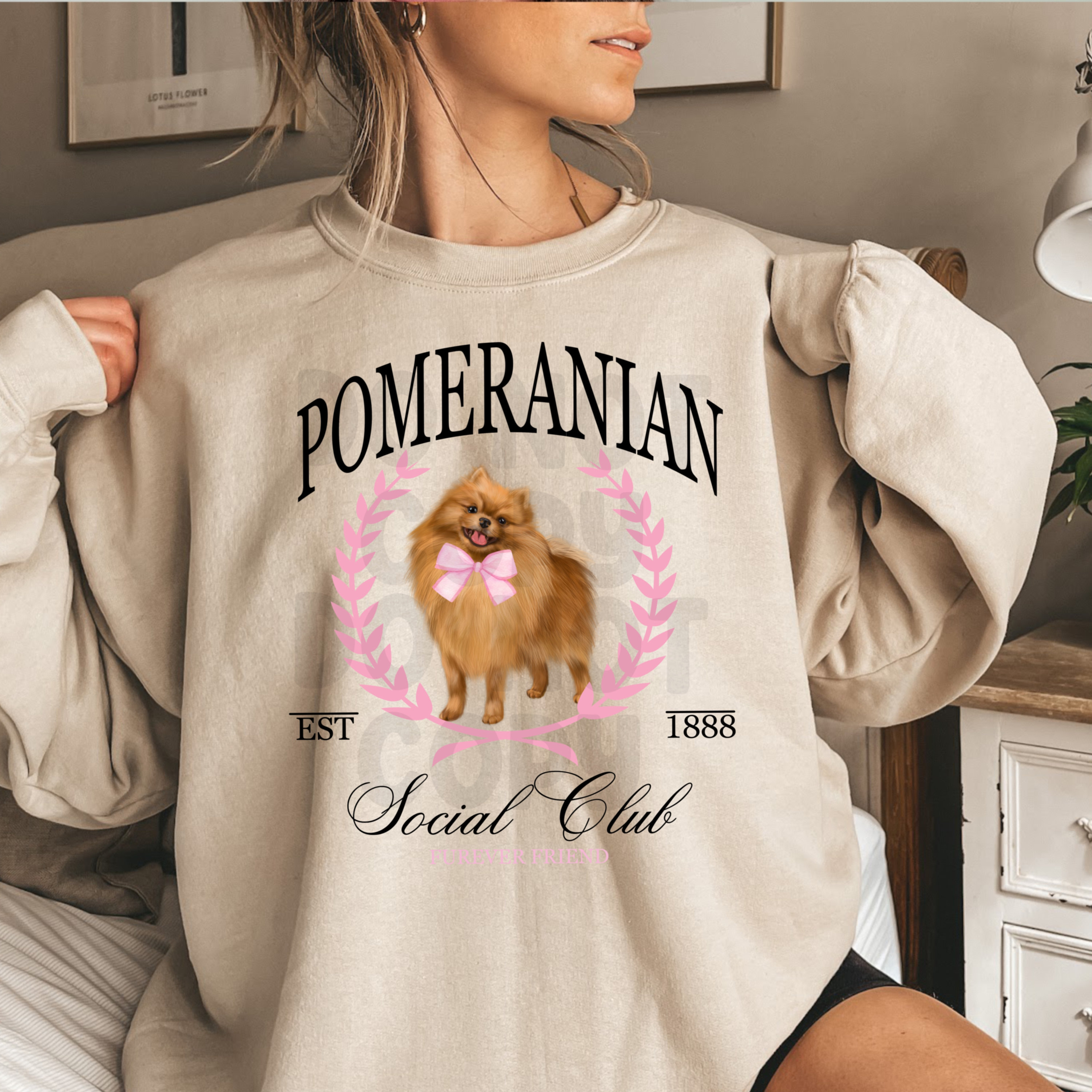 Pomeranian Dog Social Club Png, Pomeranian Png, Pomeranian, Pomeranian ...