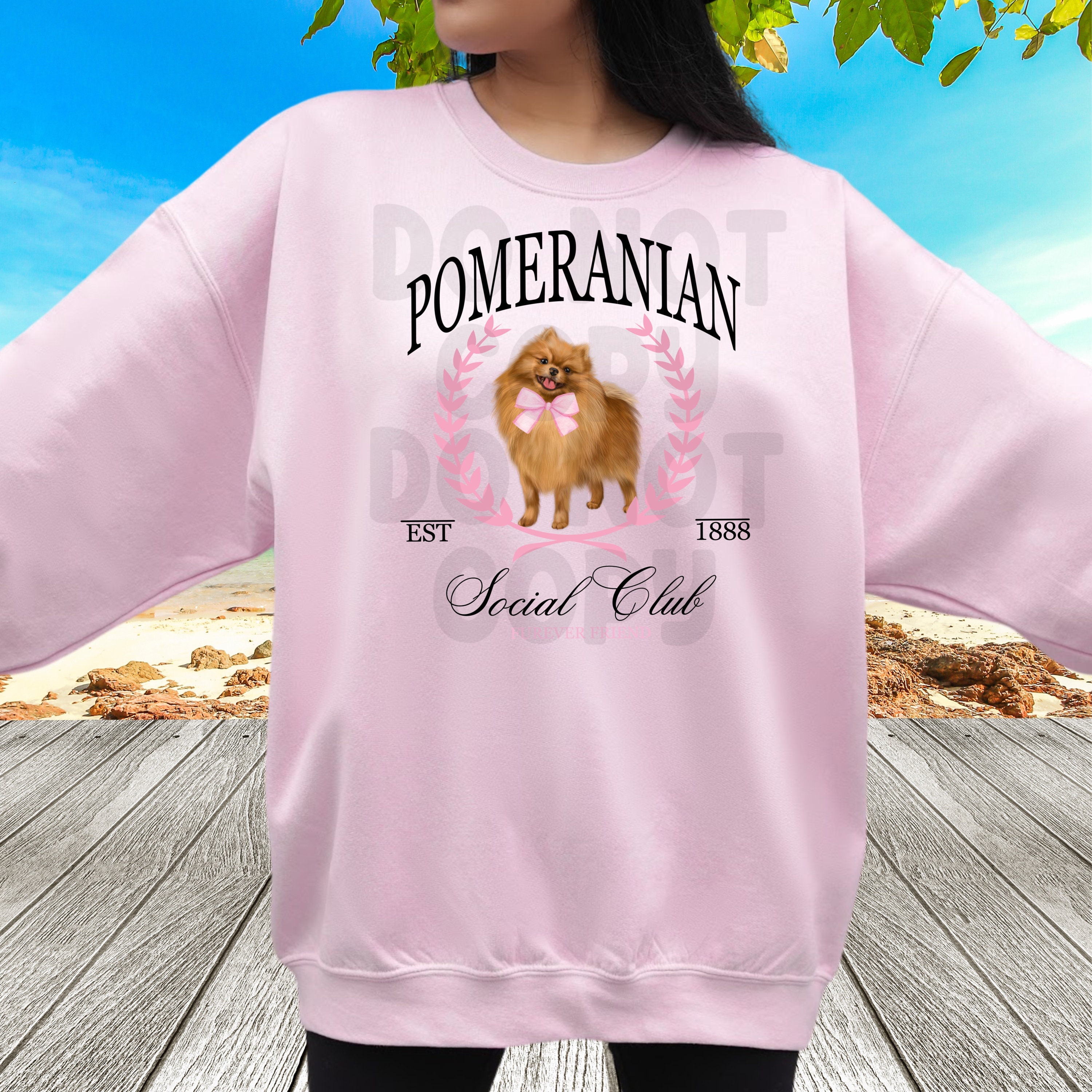 Pomeranian Dog Social Club Png, Pomeranian Png, Pomeranian, Pomeranian ...