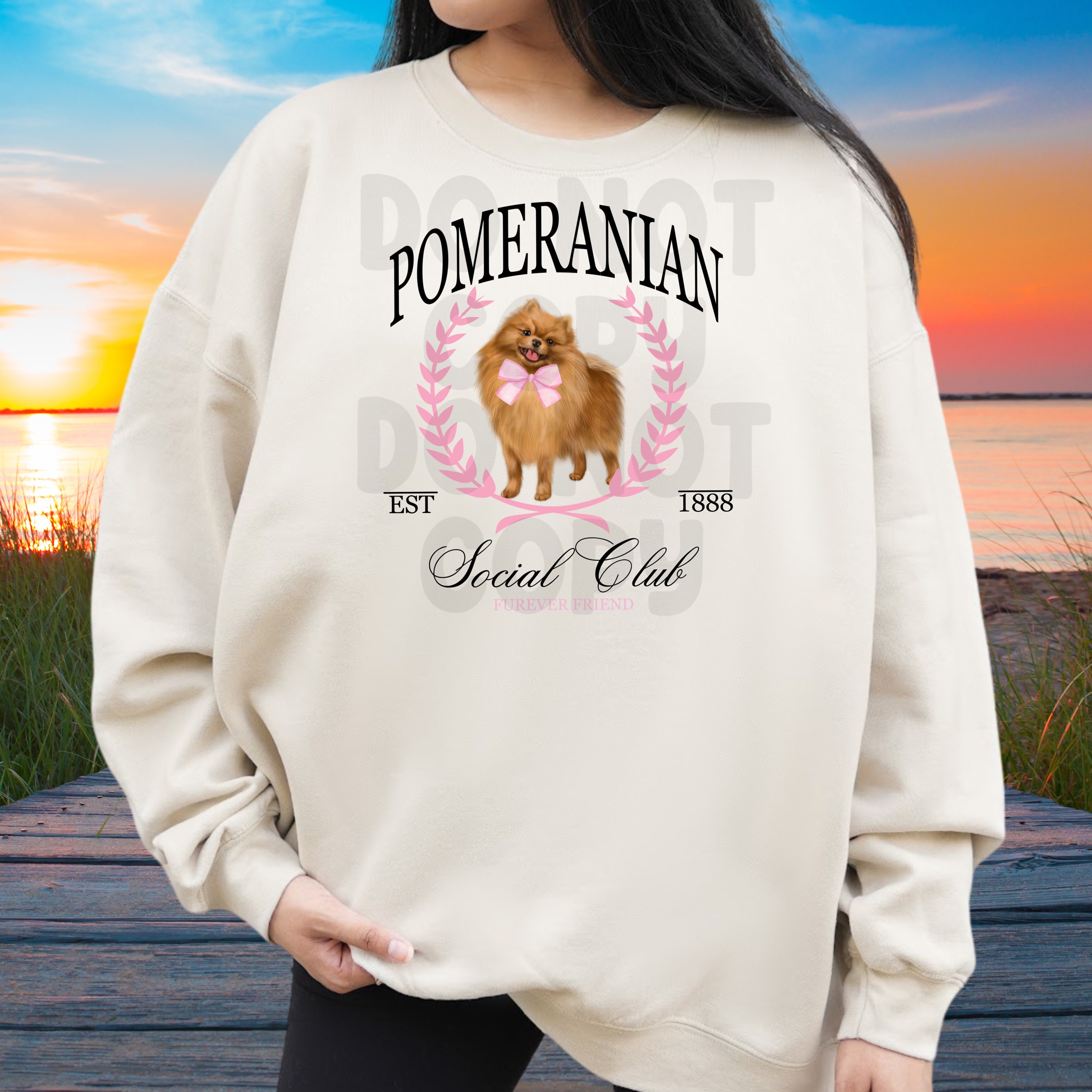 Pomeranian Dog Social Club Png, Pomeranian Png, Pomeranian, Pomeranian ...