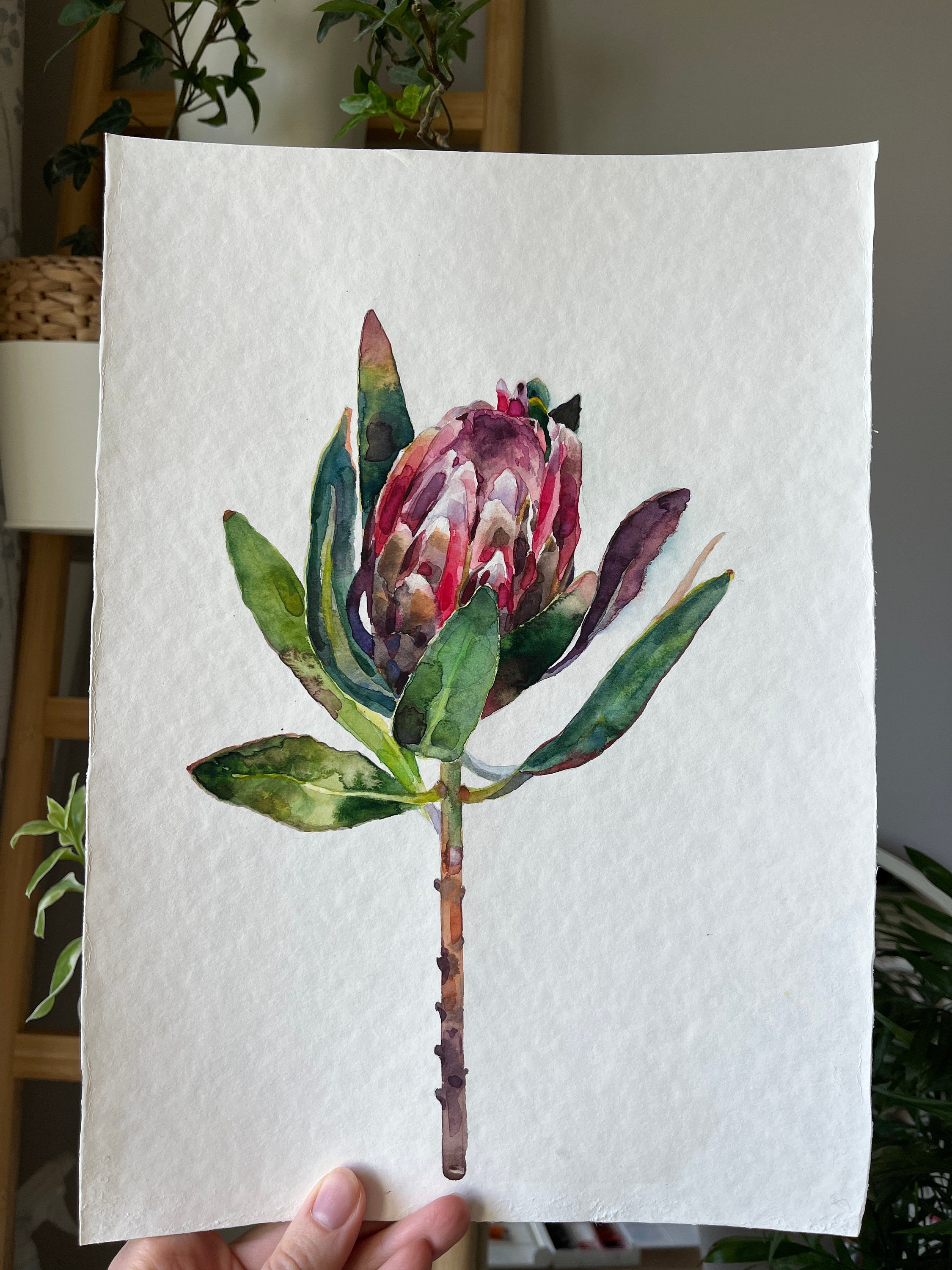 Small Art Protea Watercolor, Protea Painting, Watercolor Protea ...
