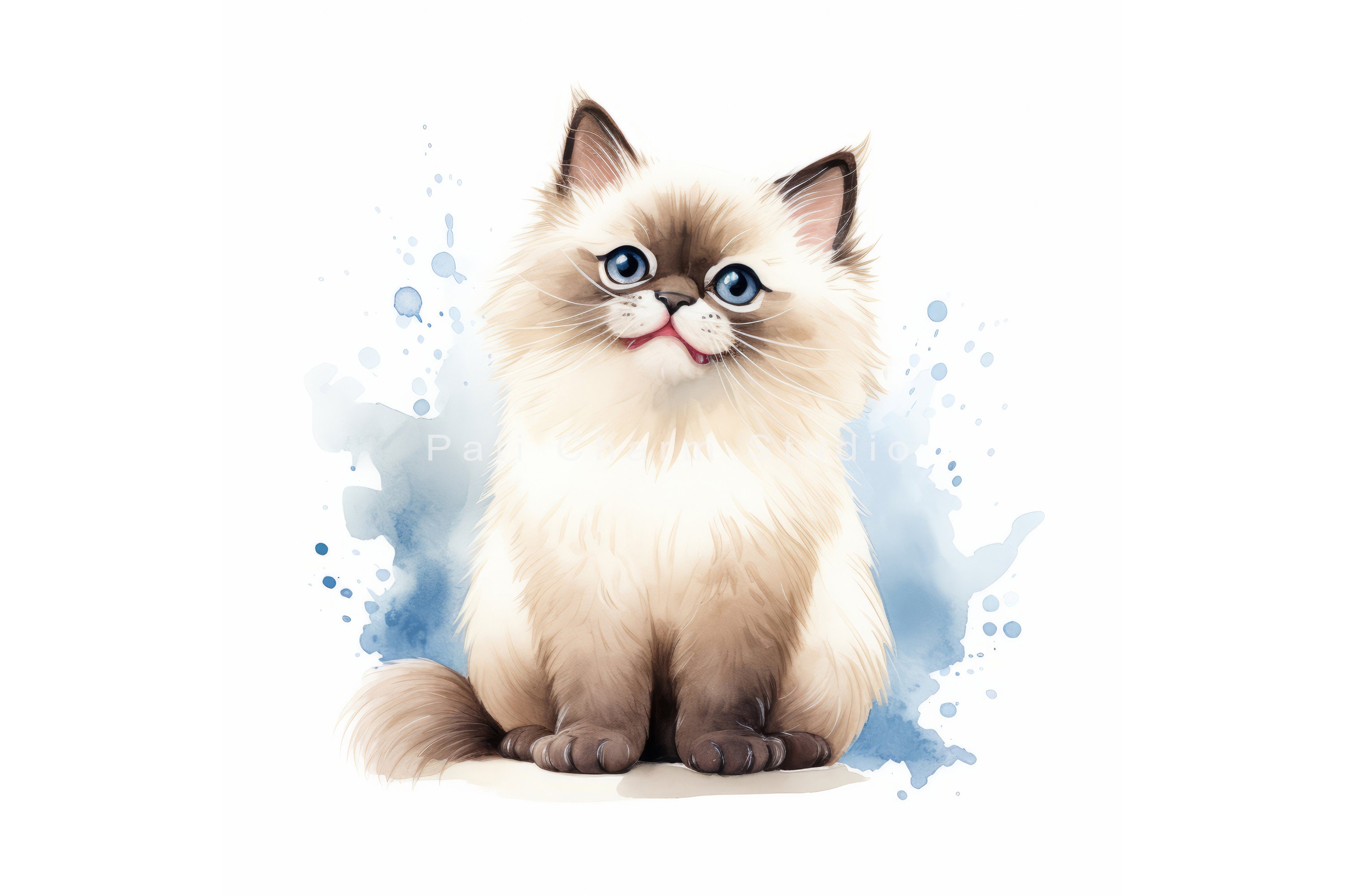 Birman Cat Clipart Bundle, High Resolution PNG, Kitten Wall Art ...