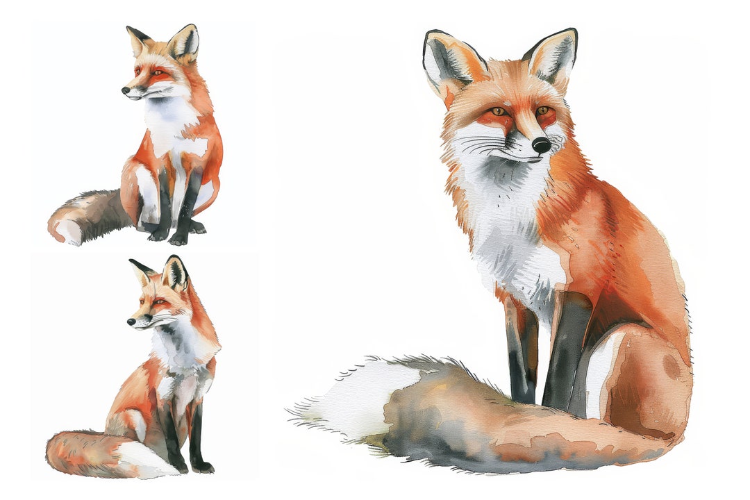 Watercolor Fox Clipart Set, High Quality Jpgs, Watercolor Woodland ...