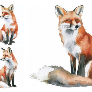 Watercolor Fox Clipart Set, High Quality Jpgs, Watercolor Woodland ...