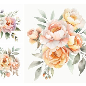 Watercolor Peony Clipart Set for Commercial Use, Digital Download ...