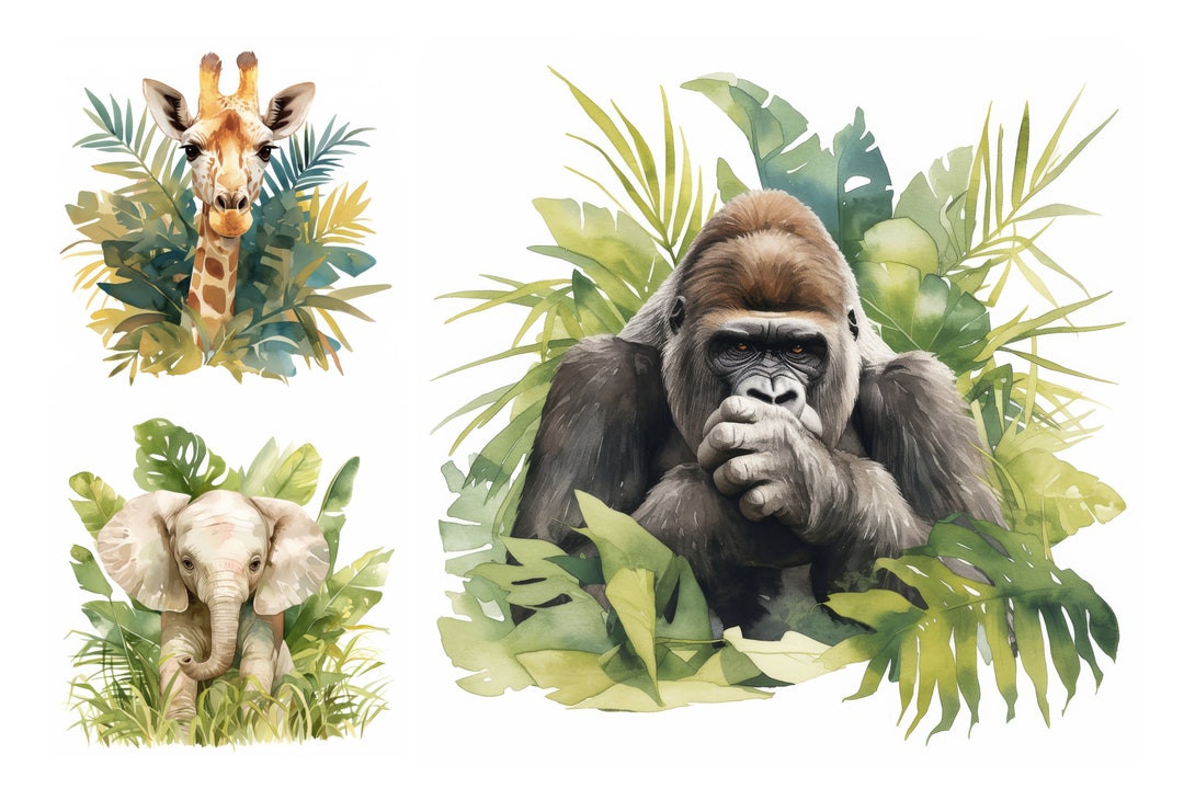 Jungle Animal Clipart Bundle, Safari Animals, Watercolor Jungle Clipart ...