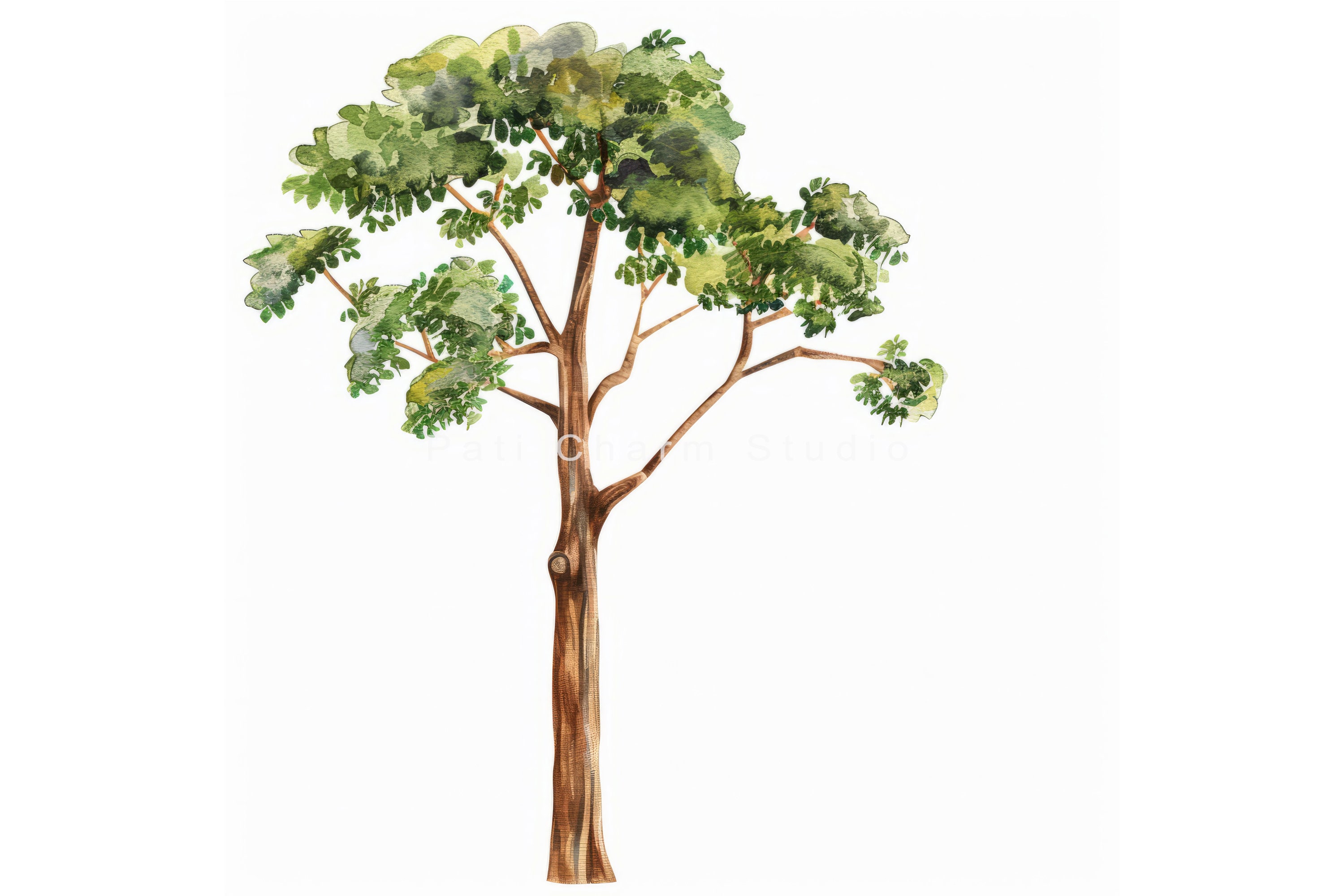 Watercolor Tree Clipart Bundle, 9 High Quality Jpgs, Watercolor Clipart ...