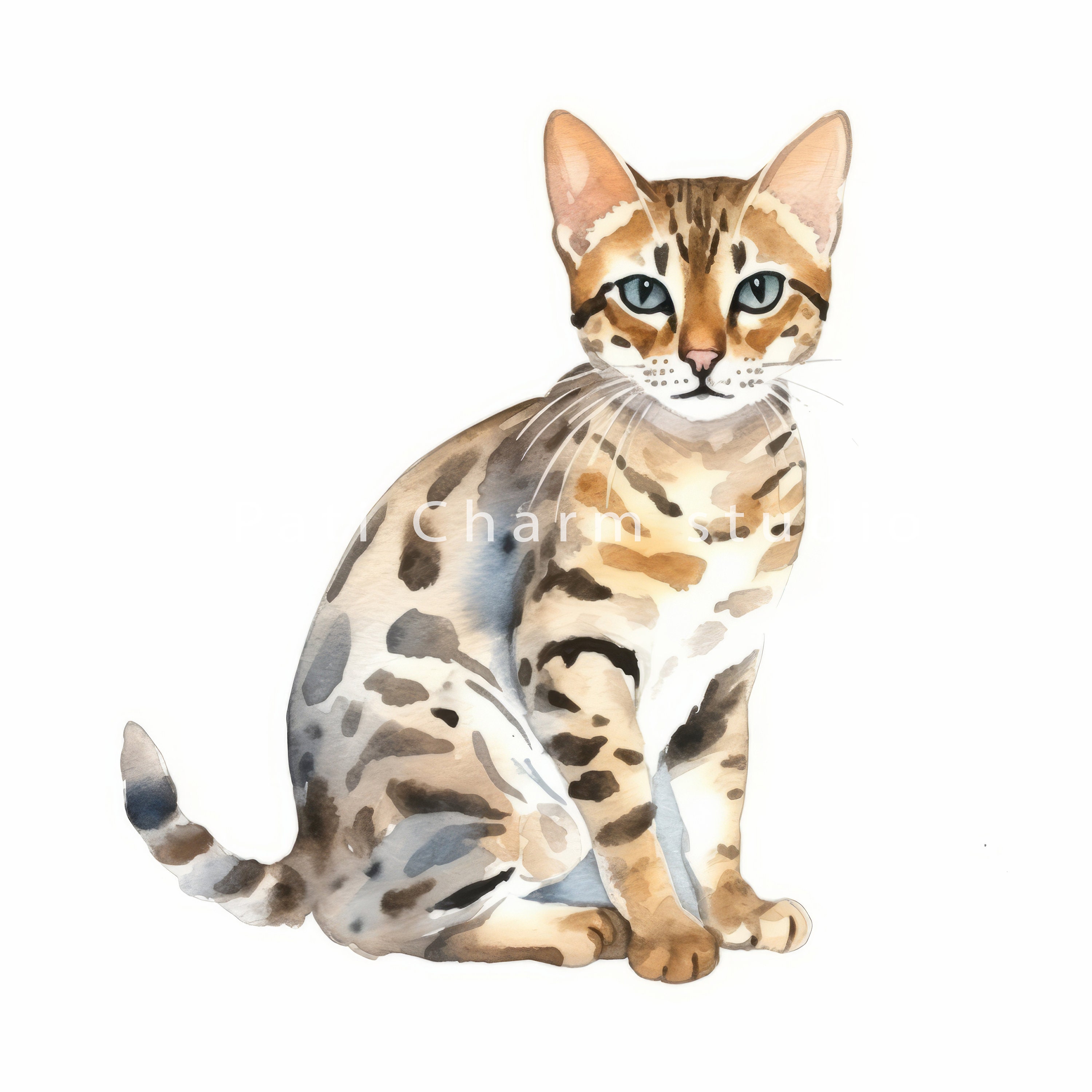 Bengal Cat Clipart Bundle 9 High Quality Jpgs Watercolor - Etsy