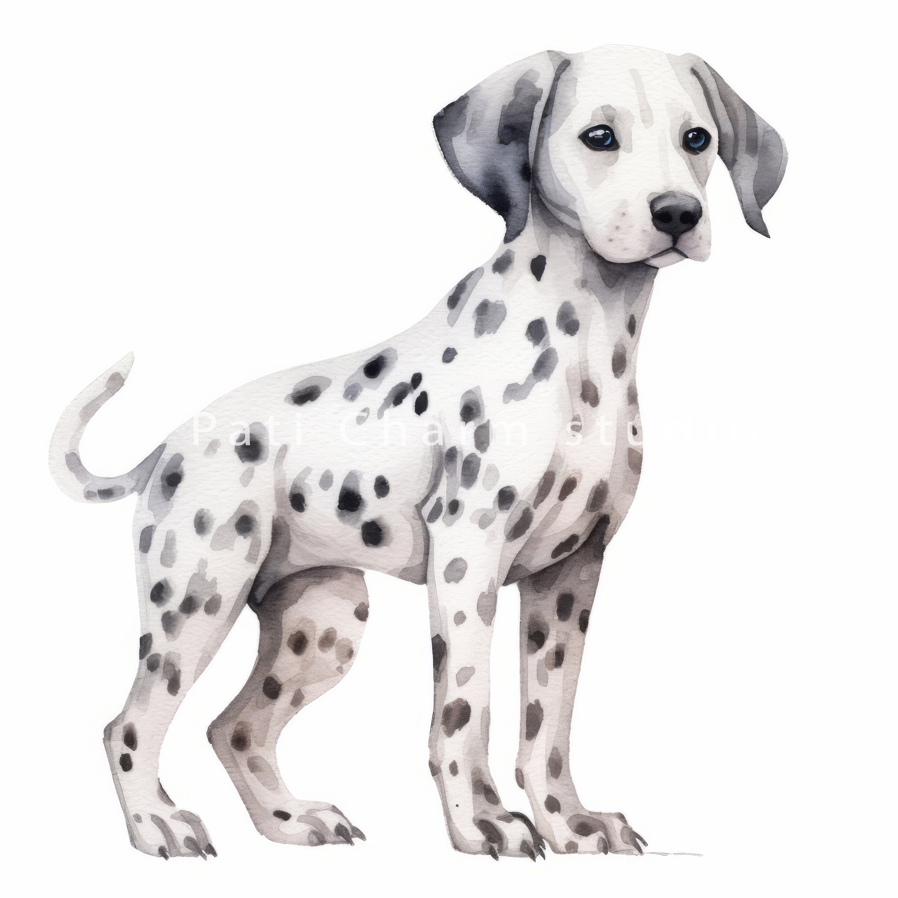 Dalmatian Dog Clipart High Quality Jpgs Dog Breed Animal - Etsy