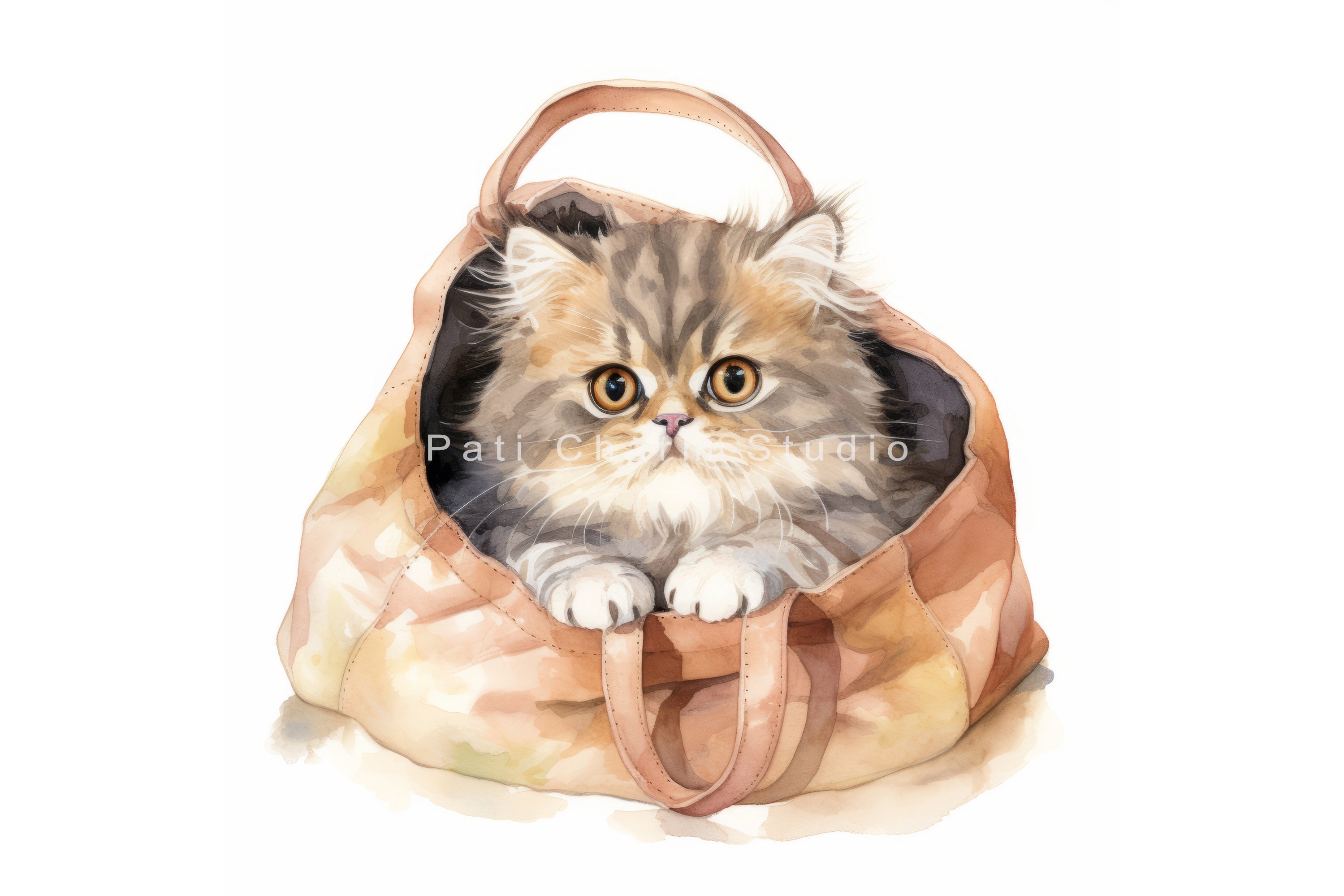 Persian Cat Clipart Bundle Watercolor Kitten Clipart - Etsy