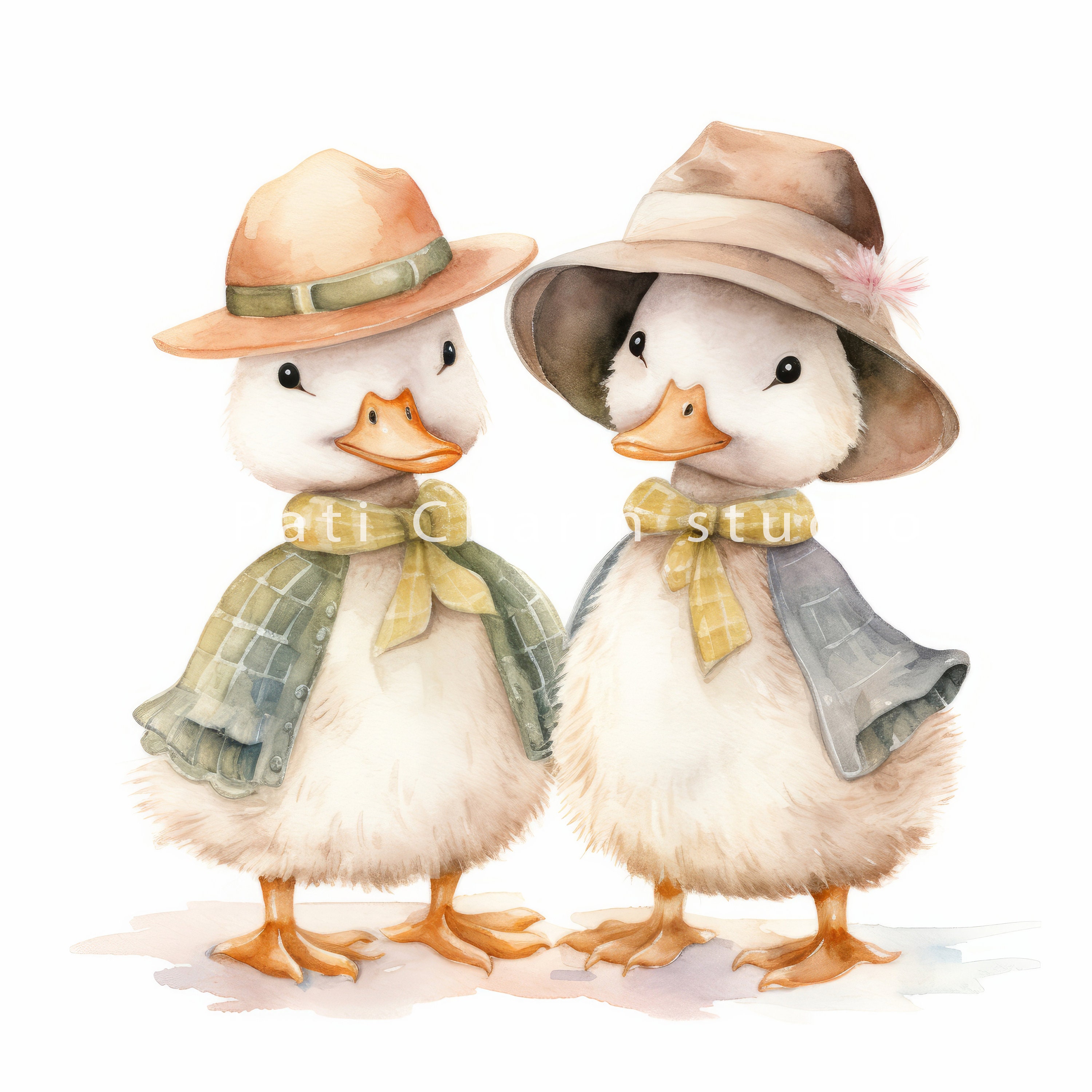 Watercolor Ducks Clipart Bundle High Quality Jpgs Valentines - Etsy