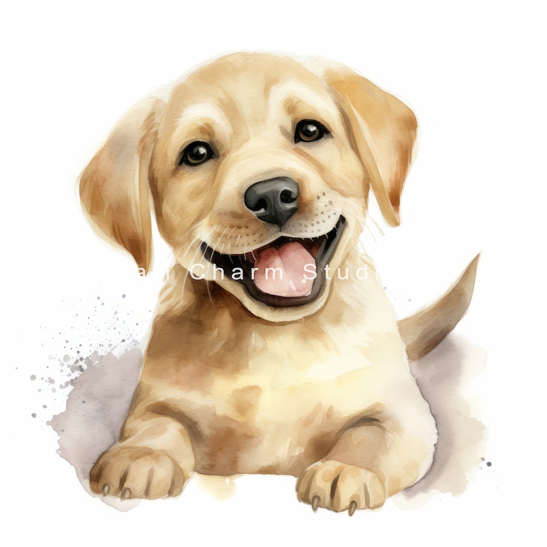 Labrador Retriever Puppy Clipart PNG, High Quality, Cute Dog Breed ...