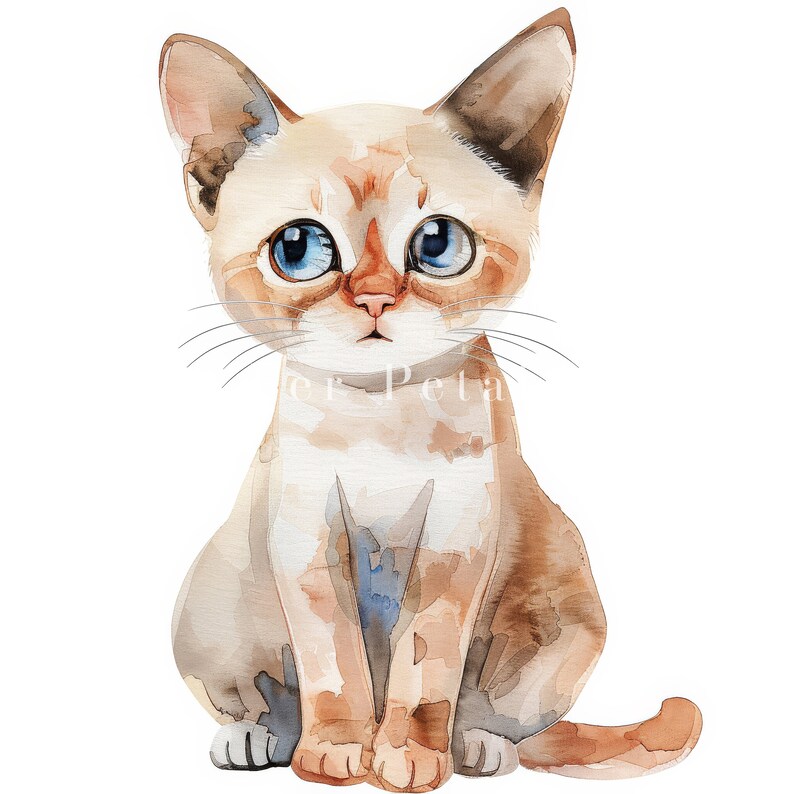 Cute Beige Cat Clipart Bundle, High Quality Jpgs, Digital Download ...