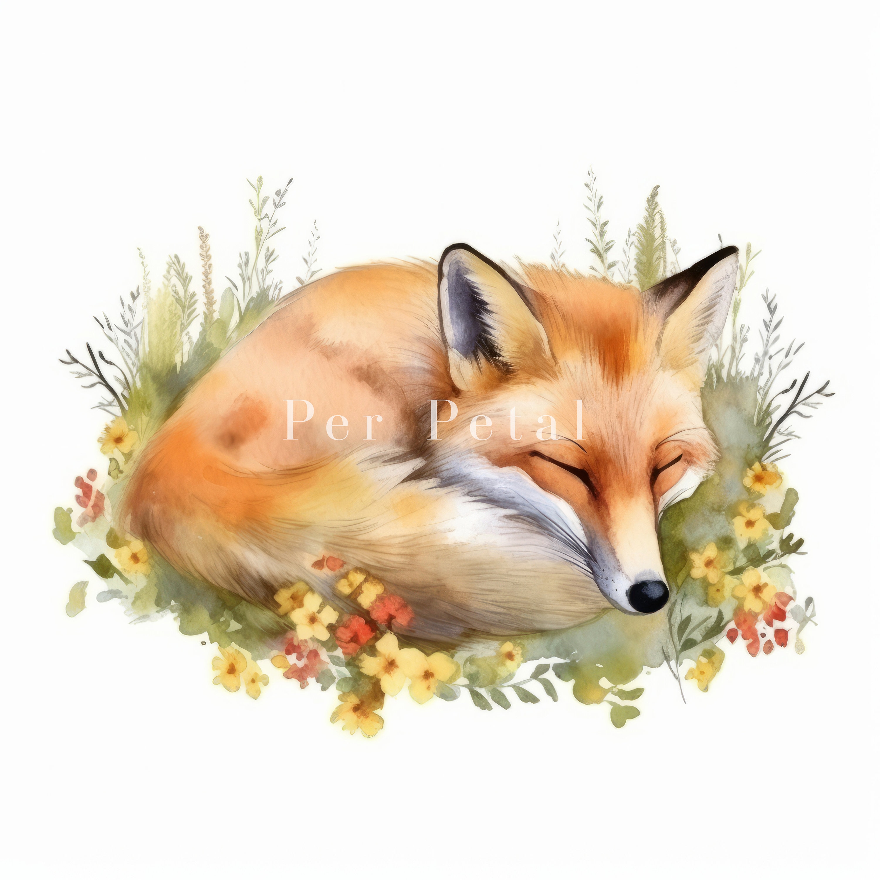 Watercolor Fox Clipart Bundle, Woodland Clipart, High Quality Jpgs ...