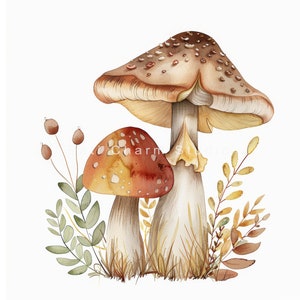 Woodland Animal Clipart Bundle, Nursery Print, High Quality Jpegs ...