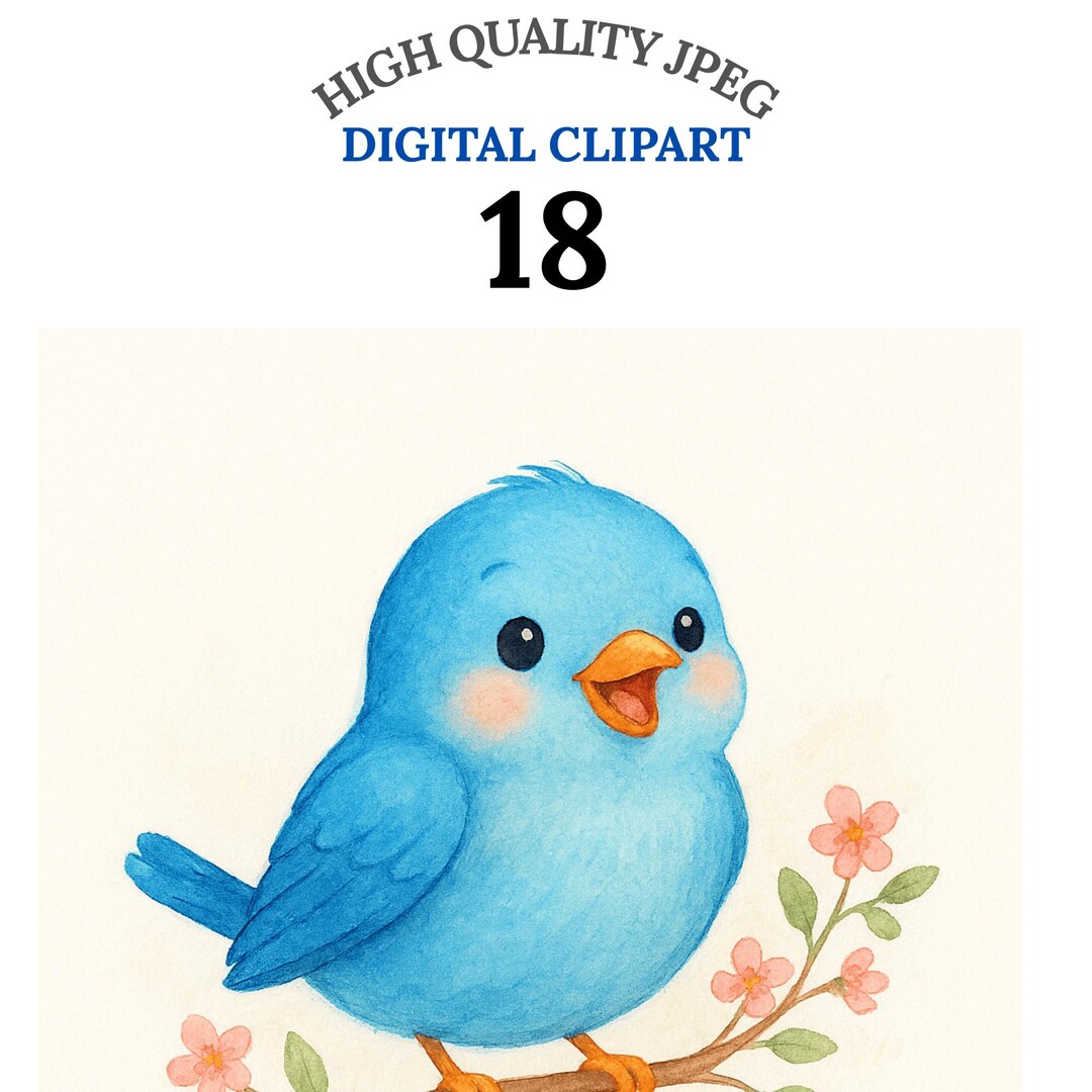 Cute Bird Clipart Set, Colorful Birds JPEG Bundle, Owl Parrot Toucan ...