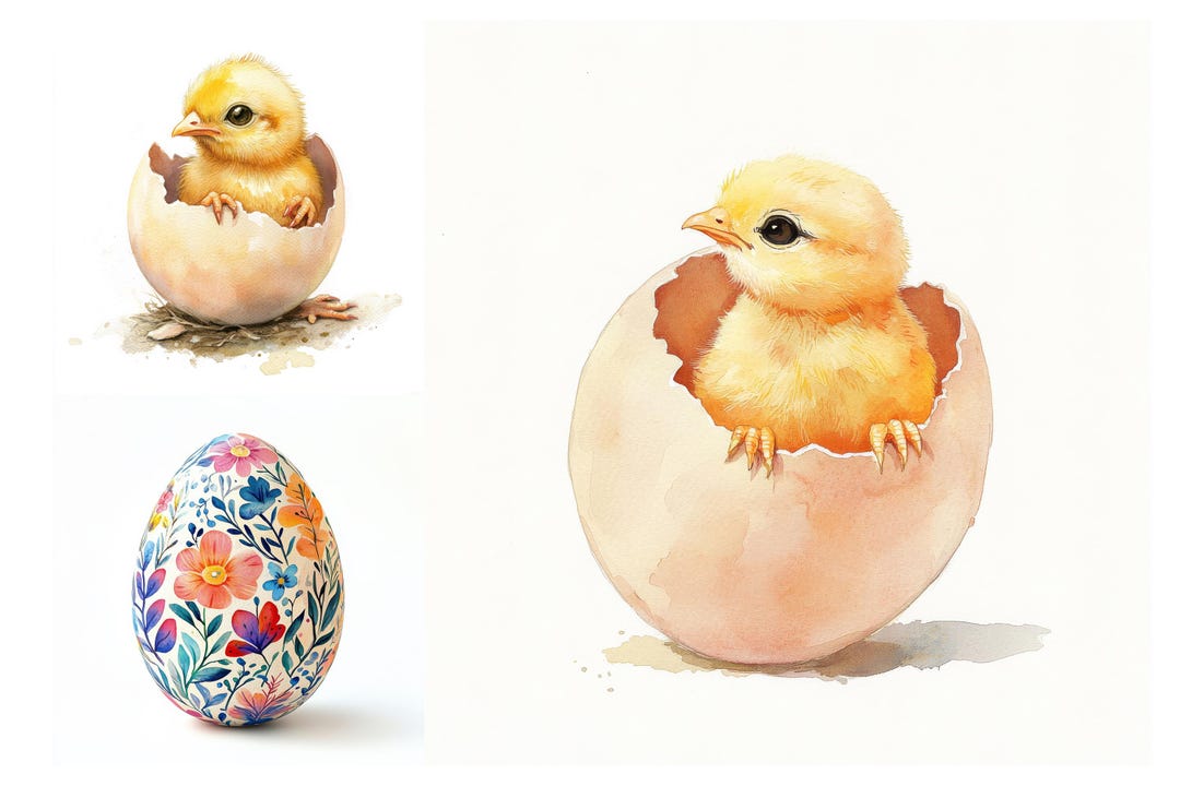 Baby Chicks, Hatching Egg, Painted Egg, Yellow Daffodil, Easter Bunny ...