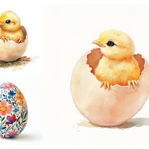 Baby Chicks, Hatching Egg, Painted Egg, Yellow Daffodil, Easter Bunny ...