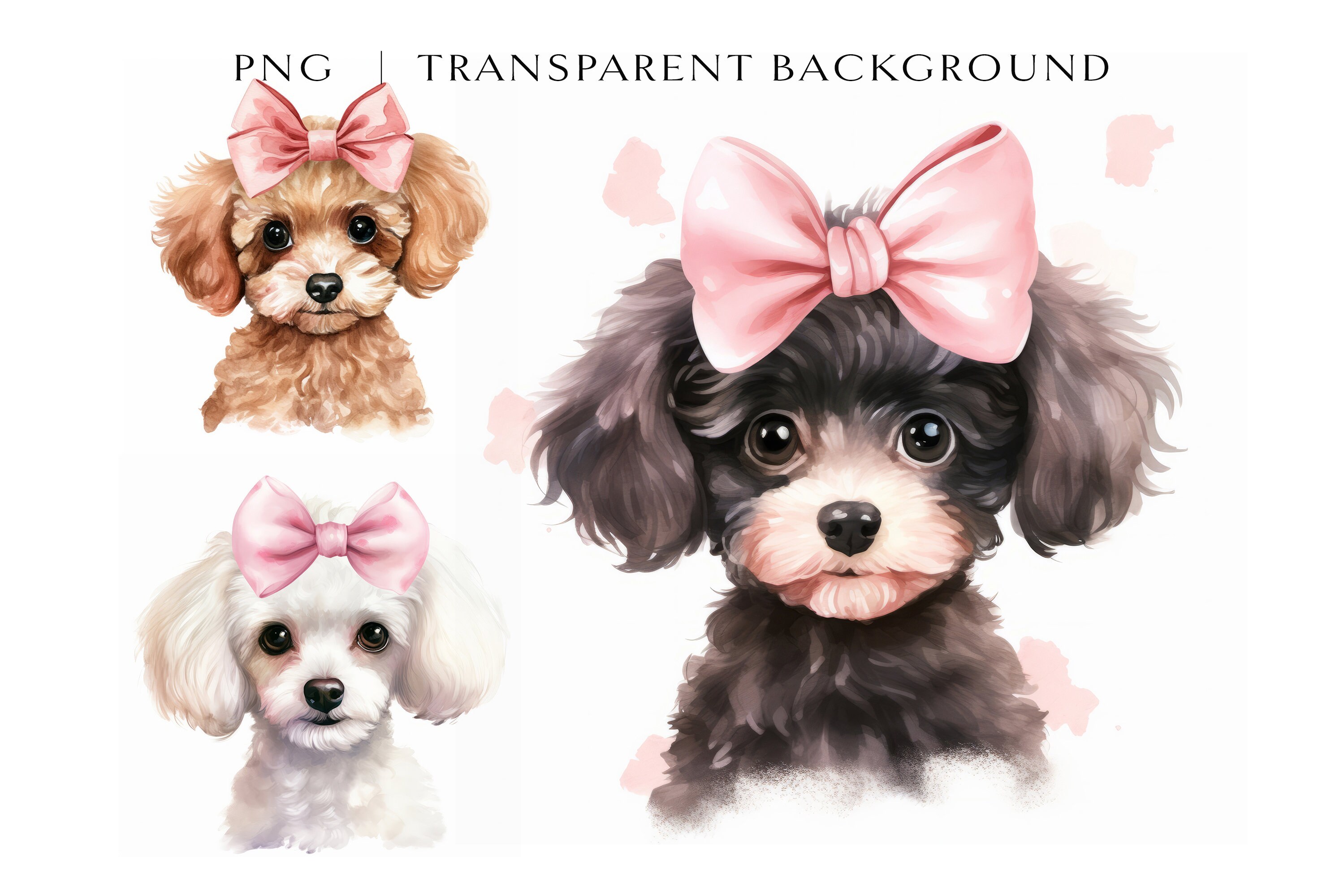 Cute Poodle Clipart Pngs, Digital Download, Cute Pets Clipart ...