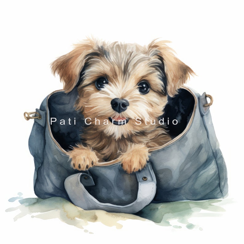 Yorkshire Terrier Clipart Bundle, JPG High Quality, Yorkshire Clipart ...