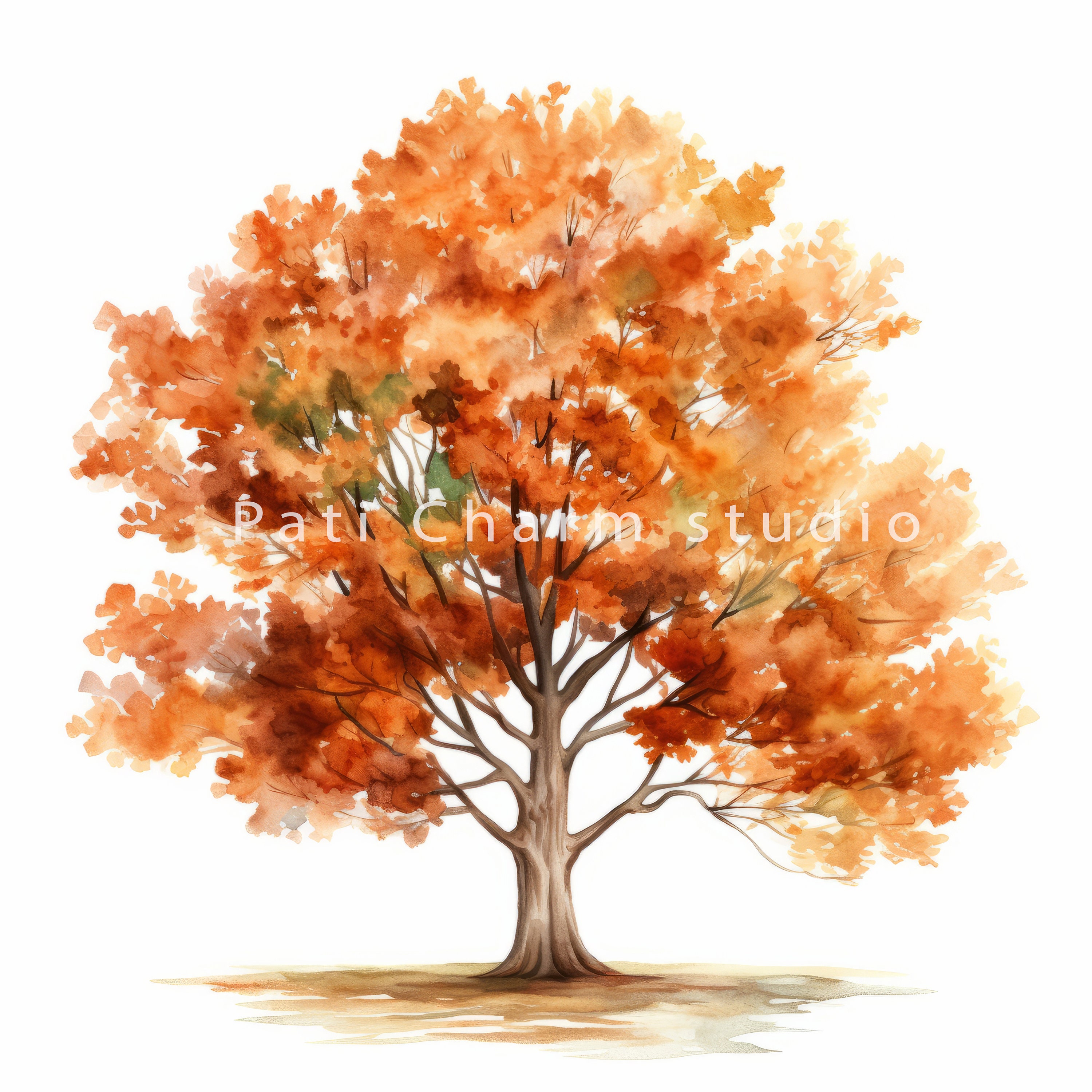 Fall Tree Clipart Autumn Decor High Resolution JPG - Etsy