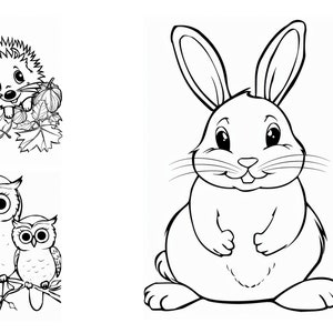 Woodland Animal Coloring Page for Kids, Instant Download, Coloring Book ...