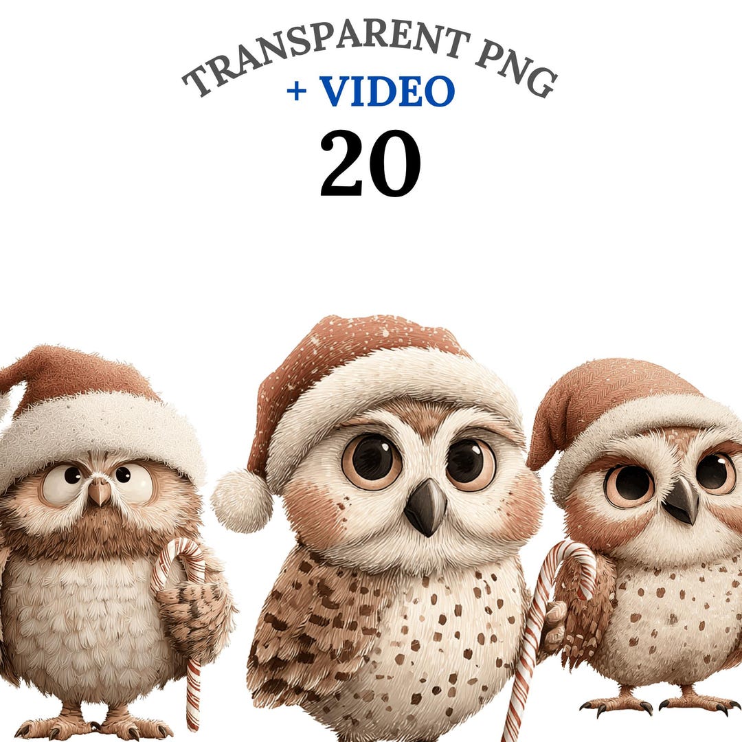 Christmas Owl Clipart Set, Cute Winter Owl PNG Bundle, Holiday Owl ...