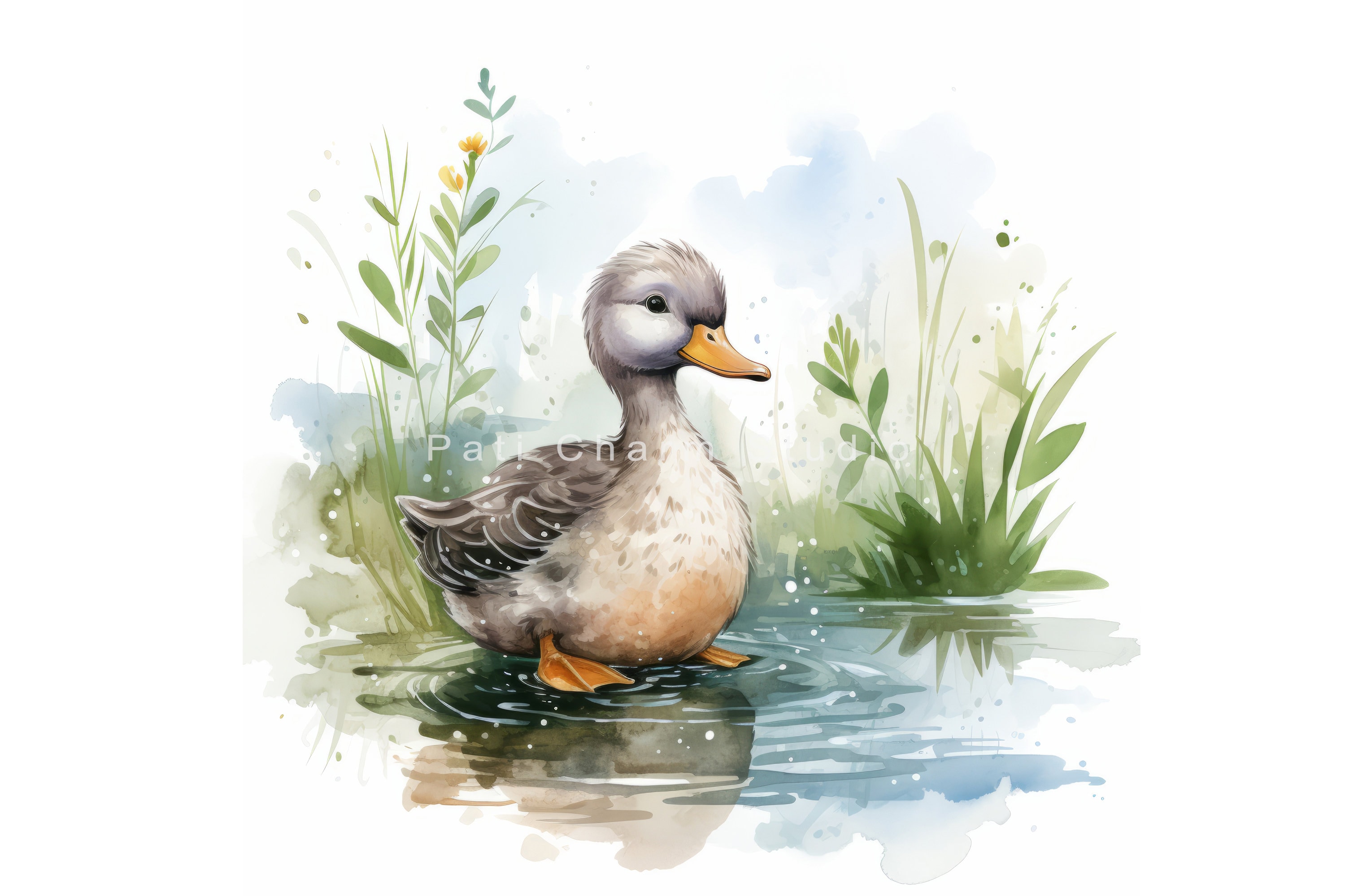 Watercolor Duck Clipart Set, High Quality Jpgs, Digital Designs, Card ...