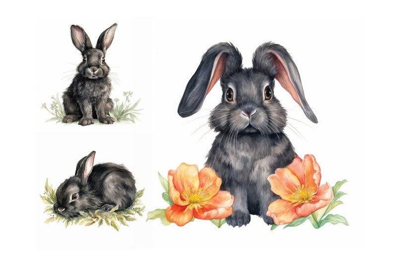 9 Black Bunny With Flower Clipart Bundle, Black Rabbit Clipart, Paper ...