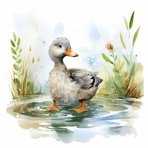 Watercolor Duck Clipart Set, High Quality Jpgs, Digital Designs, Card ...