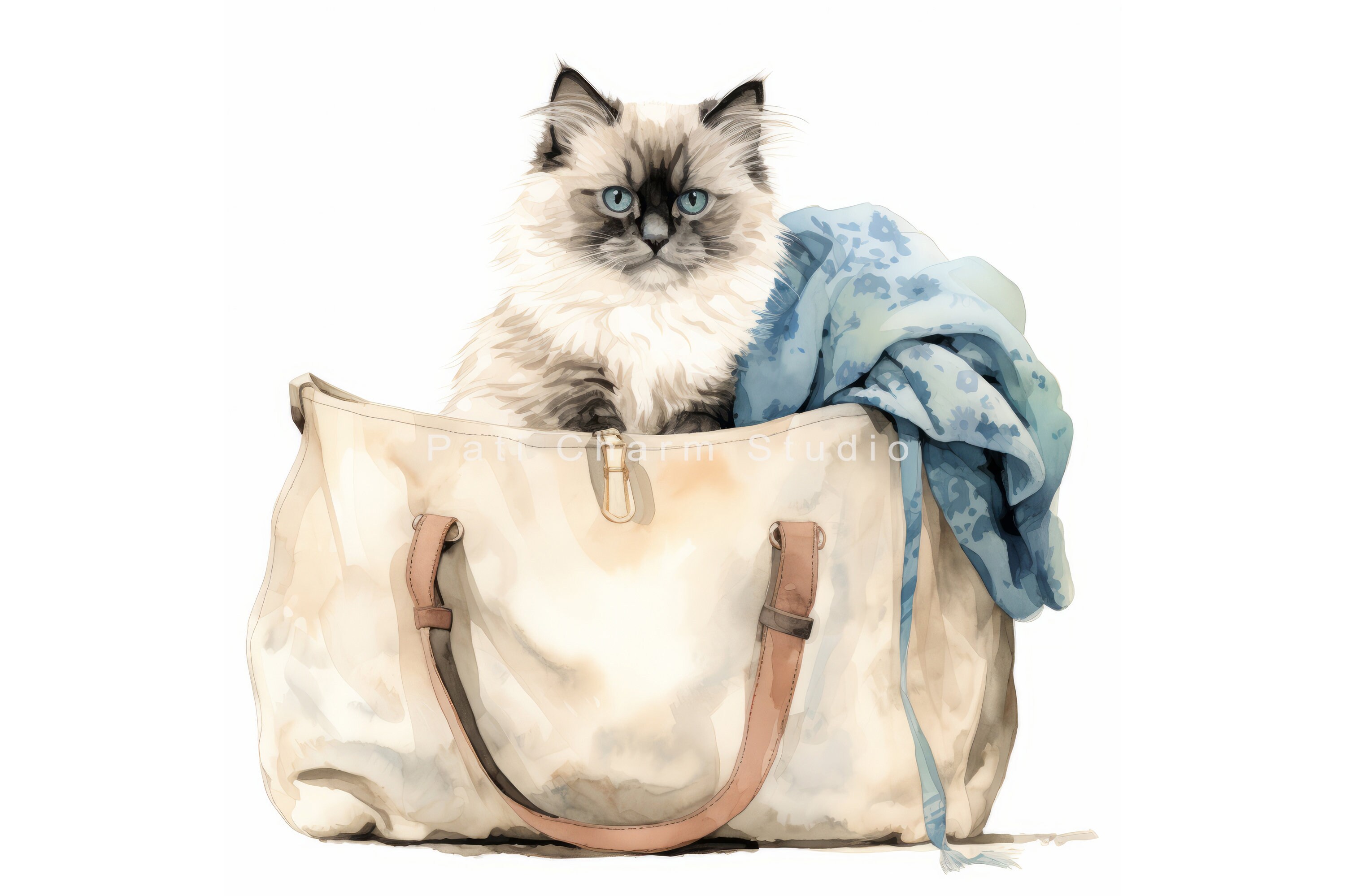 Birman Cat Clipart Bundle, High Resolution PNG, Kitten Wall Art ...