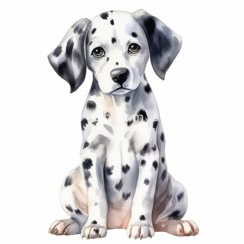 Dalmatian Dog Clipart High Quality Jpgs Dog Breed Animal - Etsy