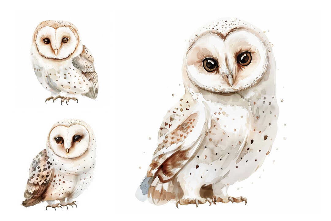 Nursery Woodland Owl Clipart Bundle, Birthday Wall Art, High Quality ...