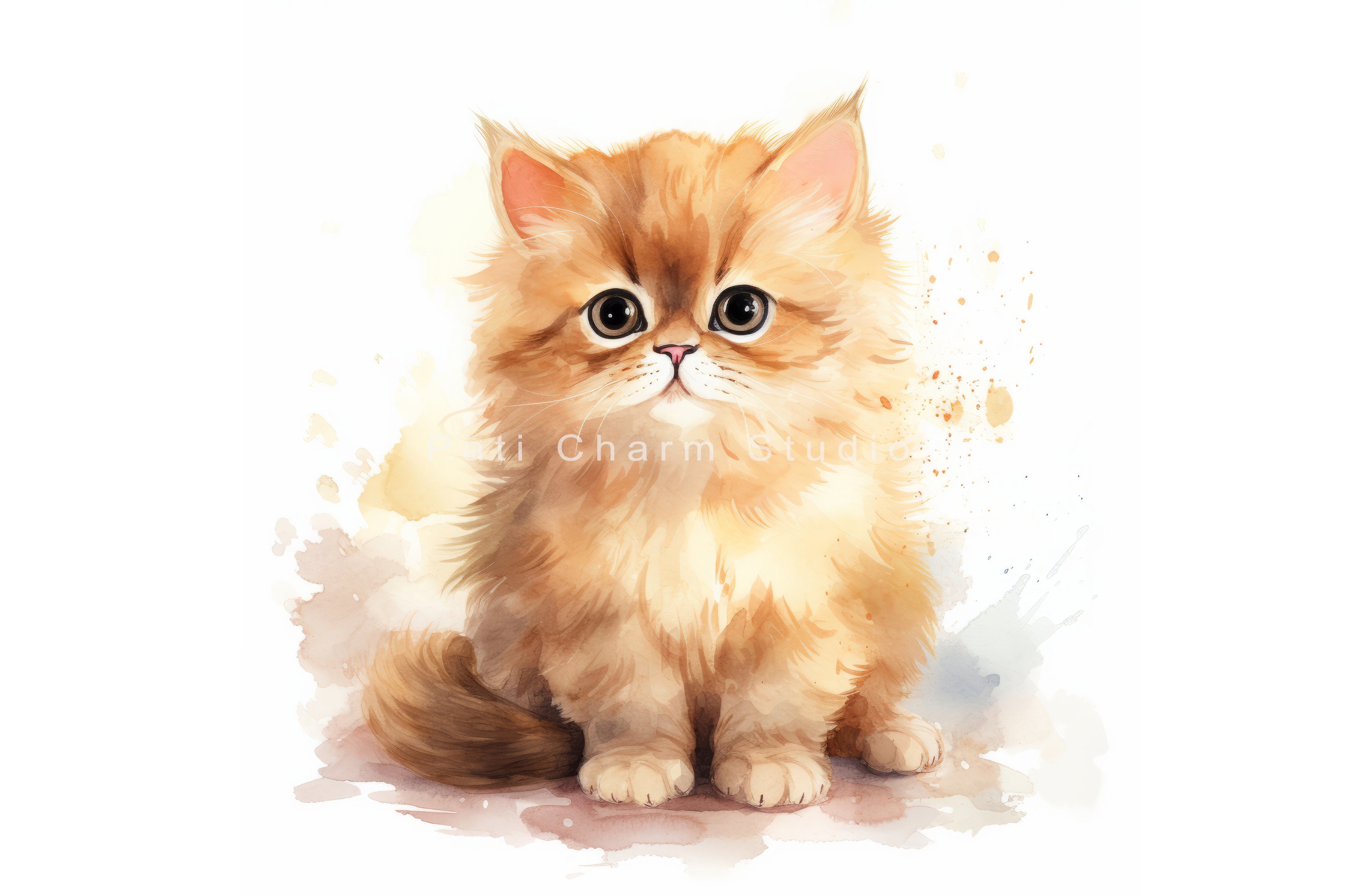 Persian Cat Clipart Bundle Watercolor Kitten Clipart - Etsy