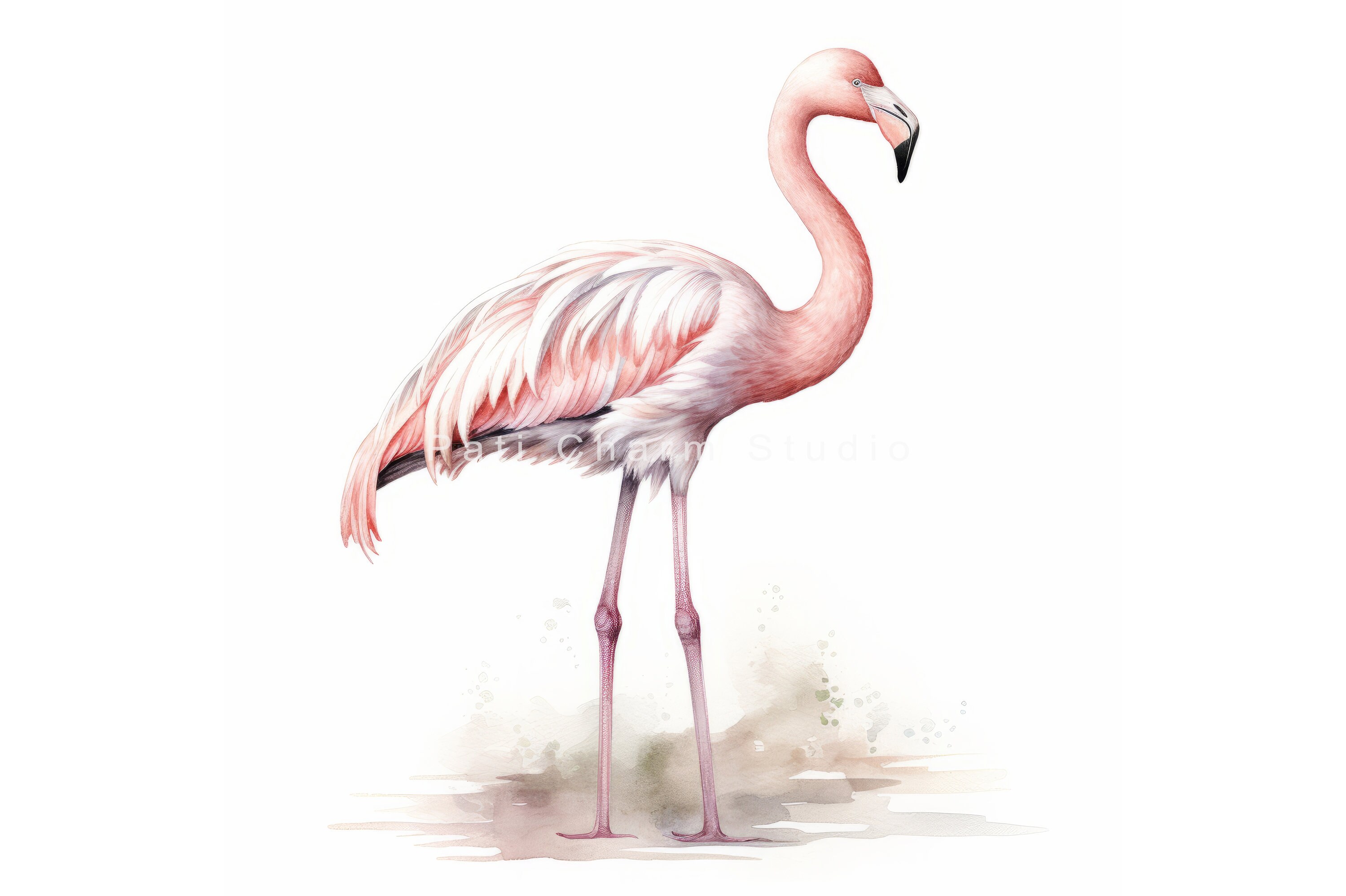 Watercolor Flamingo Clipart Bundle, Digital Download, Flamingo Clipart ...