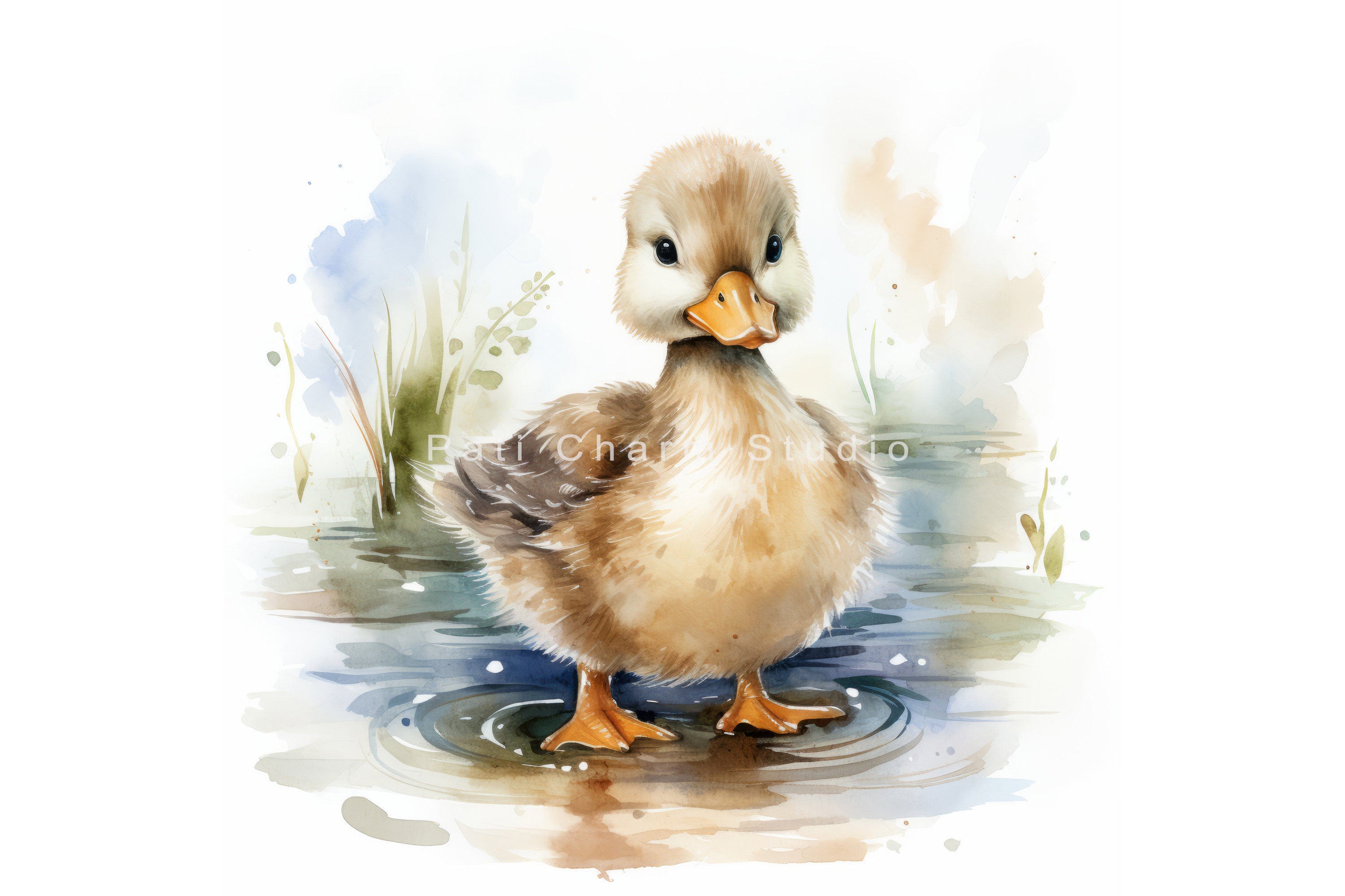 Watercolor Duck Clipart Set, High Quality Jpgs, Digital Designs, Card ...