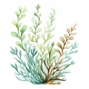 Watercolor Under the Sea Clipart Bundle 9 High Quality Jpgs, Cute Ocean ...