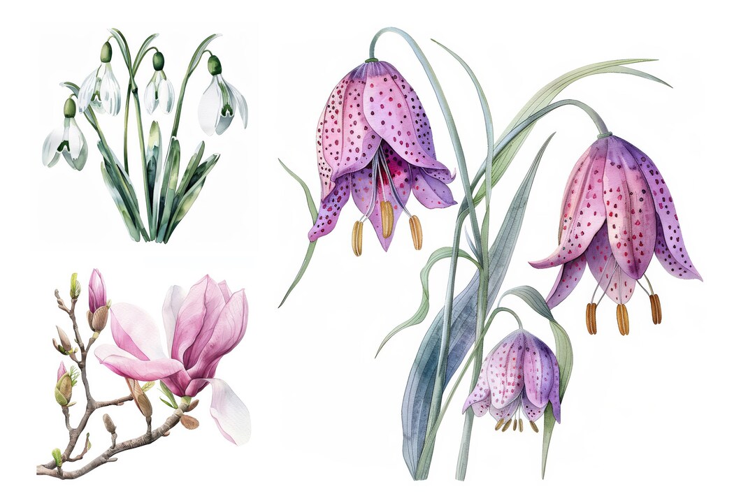 Spring Flower Clipart Bundle, Floral Clipart Set, Wedding Clipart, High ...